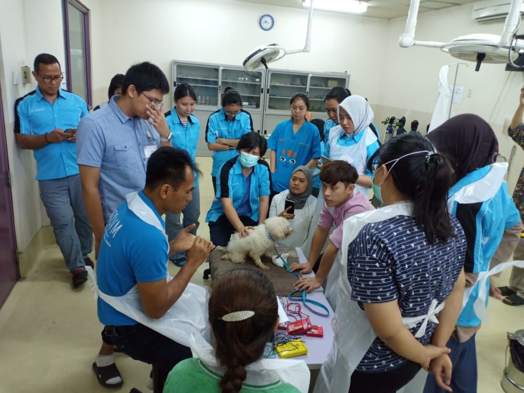 Kuliah Kelas Internasional di IPB University – Indonesia College Sejak 1993