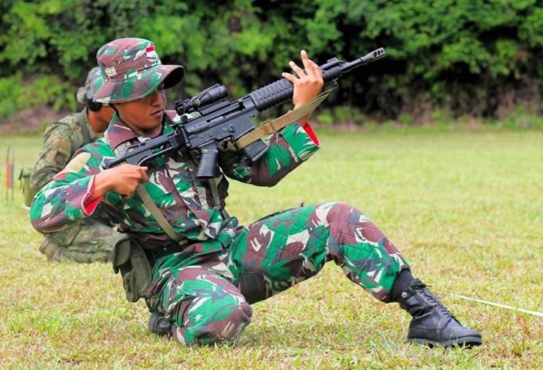Tahapan Seleksi TNI AD, AL, dan AU Lengkap – Indonesia College Sejak 1993